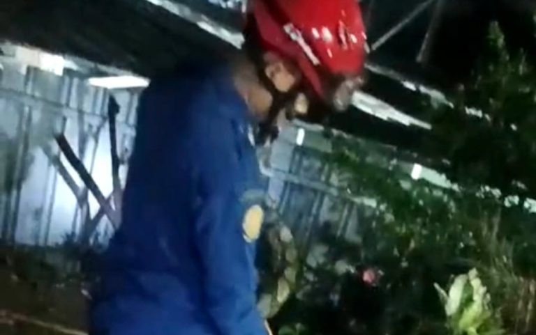 Bikin Geger Tengah Malam, Ular Sanca Besar Masuk Permukiman Warga Depok ...